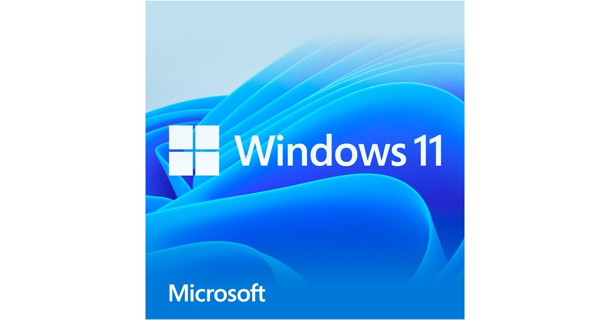 Microsoft Windows 11 OEM, Logiciel