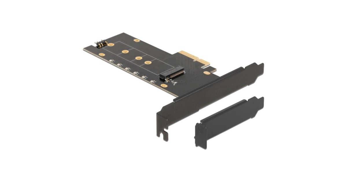 DeLOCK 89013 carte et adaptateur d'interfaces Interne M.2, Carte d ...