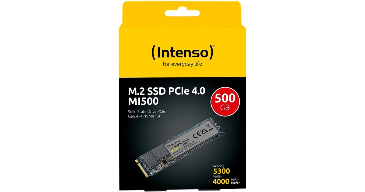 Intenso SSD