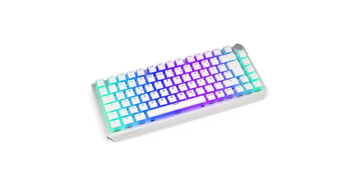ENDORFY clavier gaming Blanc, Layout DE, Kailh BOX Black
