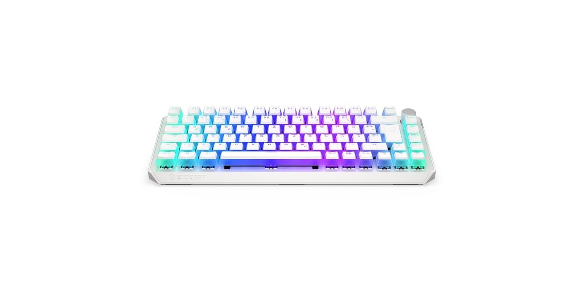 ENDORFY clavier gaming Blanc, Layout DE, Kailh BOX Black